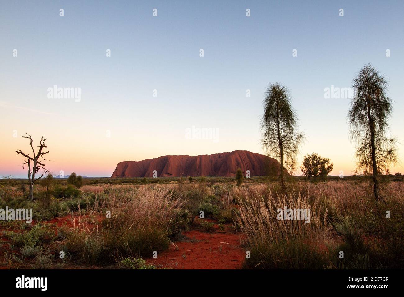 Uluru Rock at sunrise ,Central Australia Stock Photo - Alamy