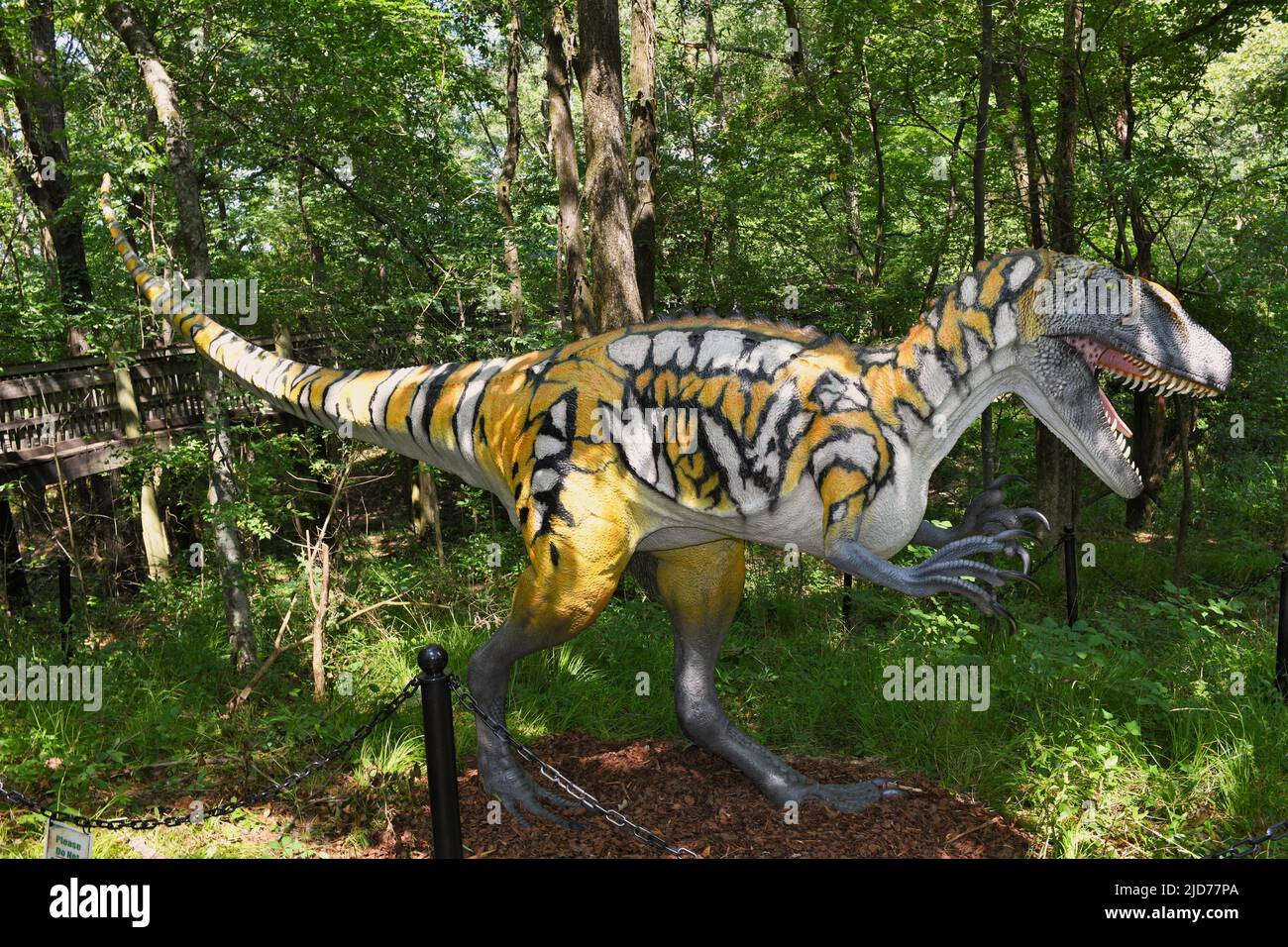 Meat eating dinosaur hi-res stock photography and images - Alamy