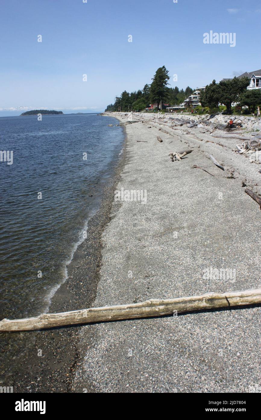The shingle beach at Sechelt on the Sunshine Coast in BC, Canada Stock ...