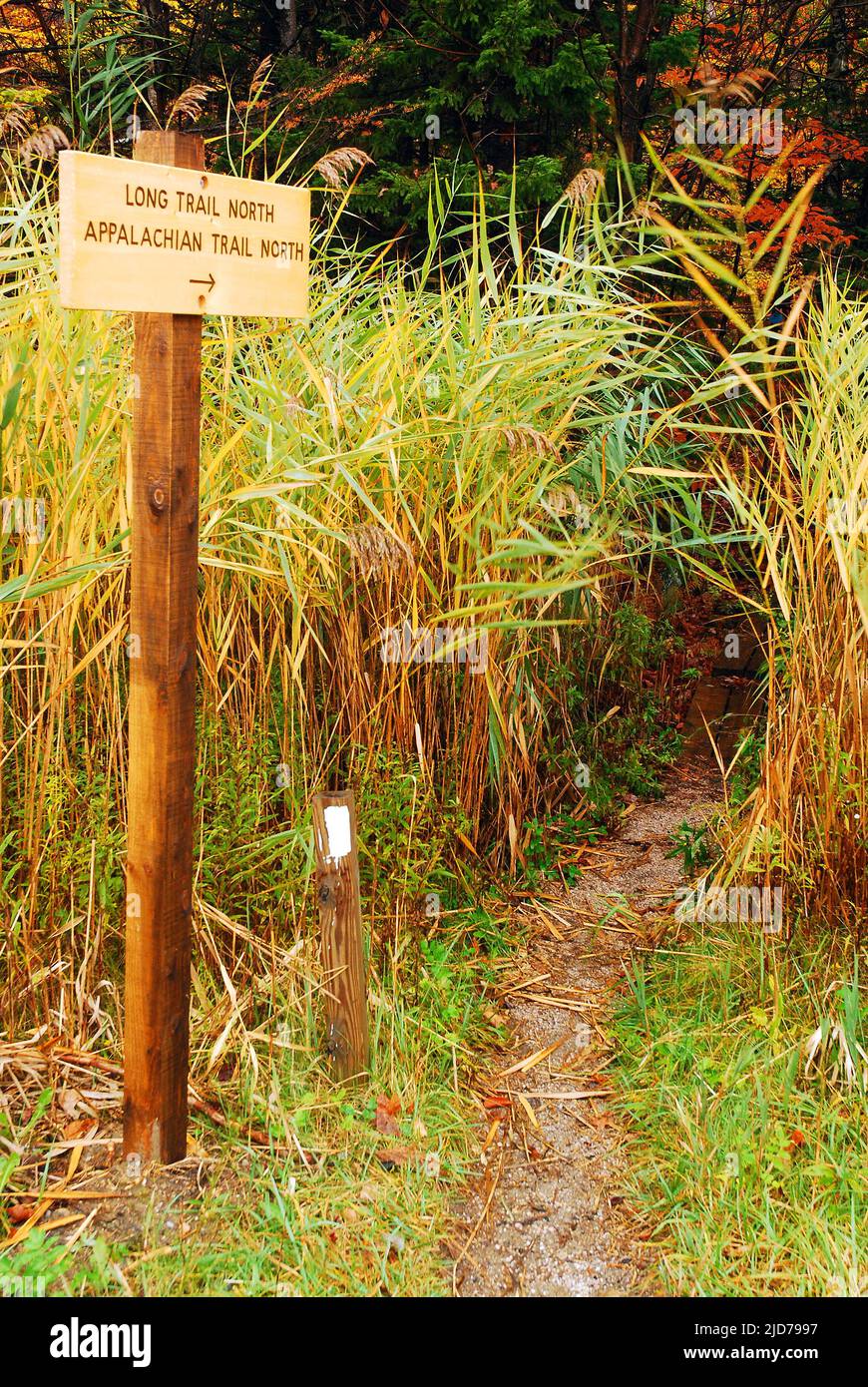 This way to the Long Trail and Appalachian Trail in Vermont Stock Photo ...
