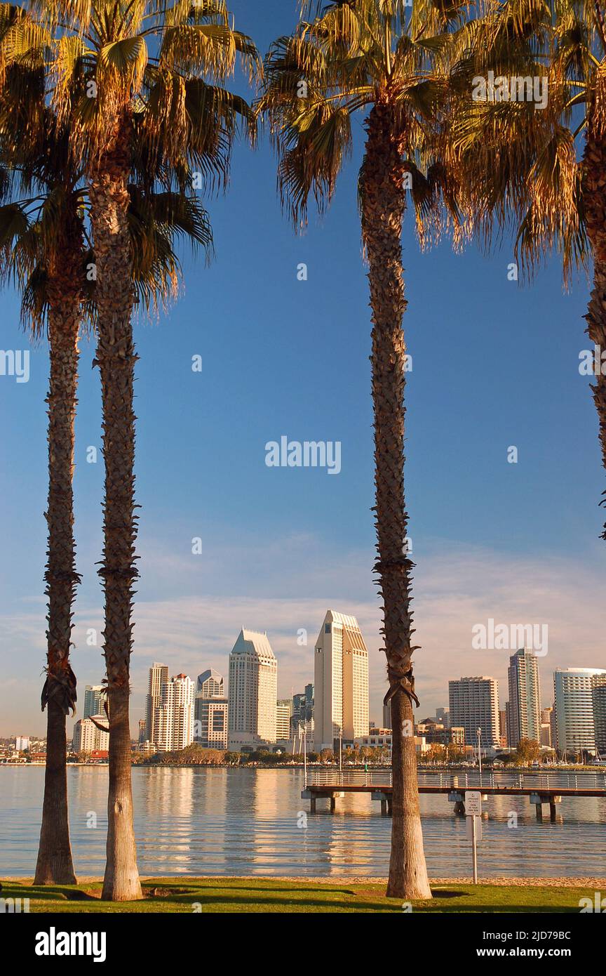 Buildings skyscrapers palm trees hi-res stock photography and images ...