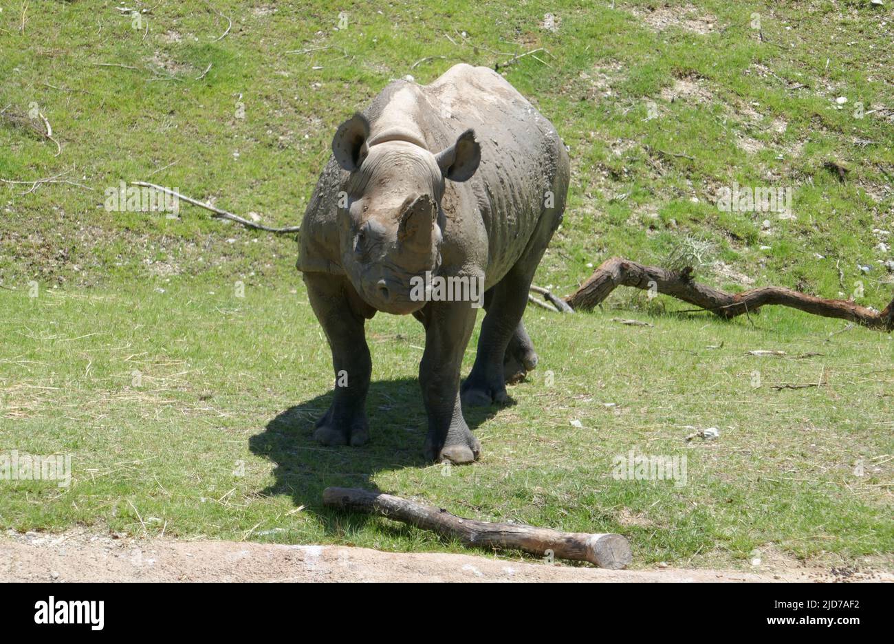 Palm Desert, California, USA 11th June 2022 A general view of ...