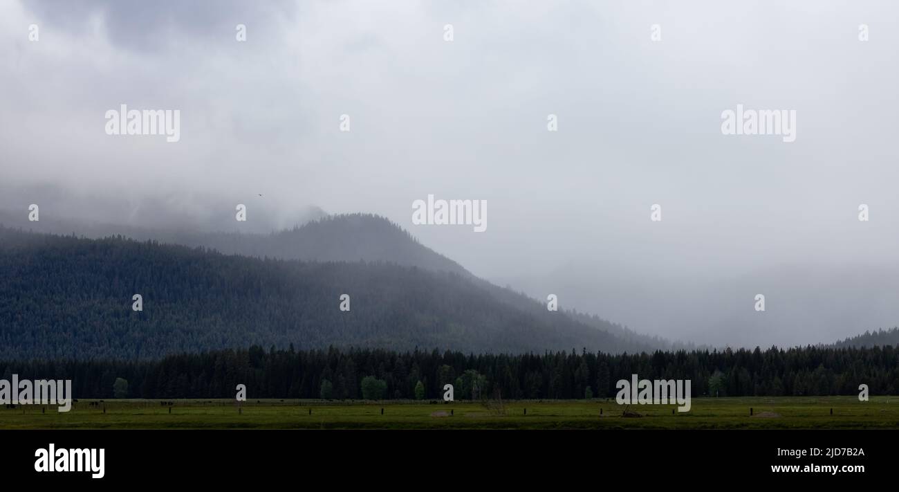 Cloud covered green mountains during rainy spring morning Stock Photo ...