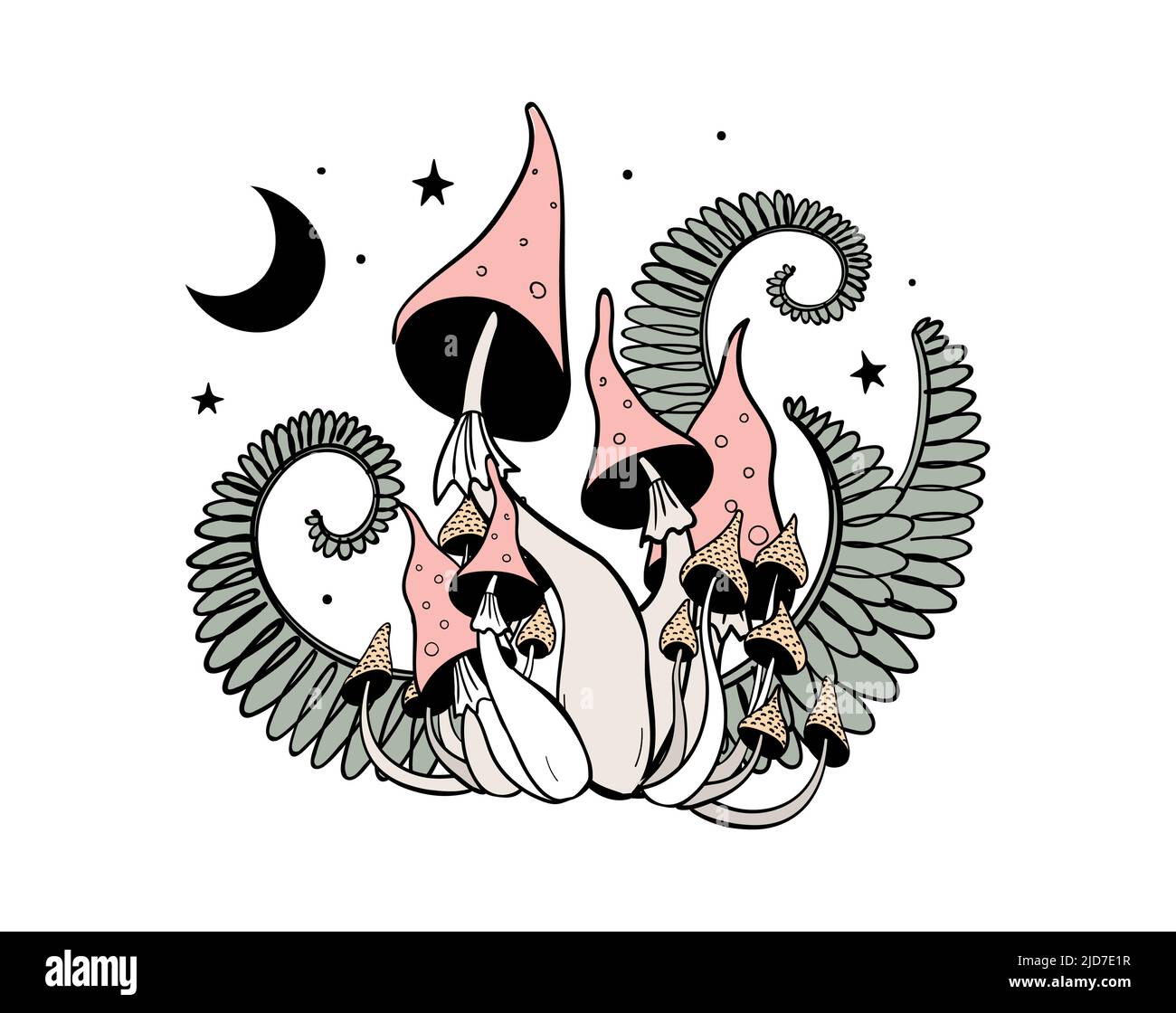 Poisonous witch mushrooms, forest pagans and ferns, mystical icon ...