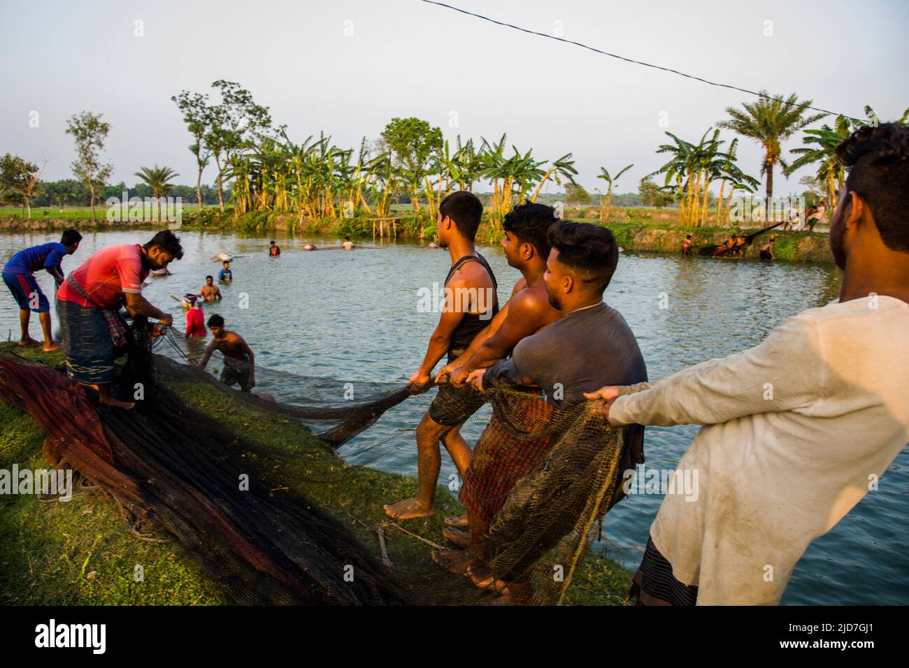 Fish farm aquaculture bangladesh hi-res stock photography and images ...