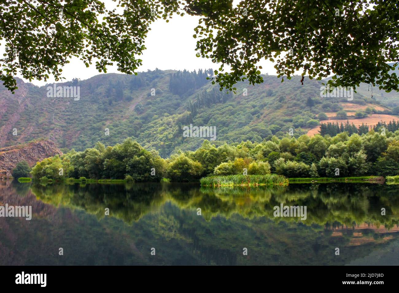 Rainforest lake reflections hi-res stock photography and images - Alamy