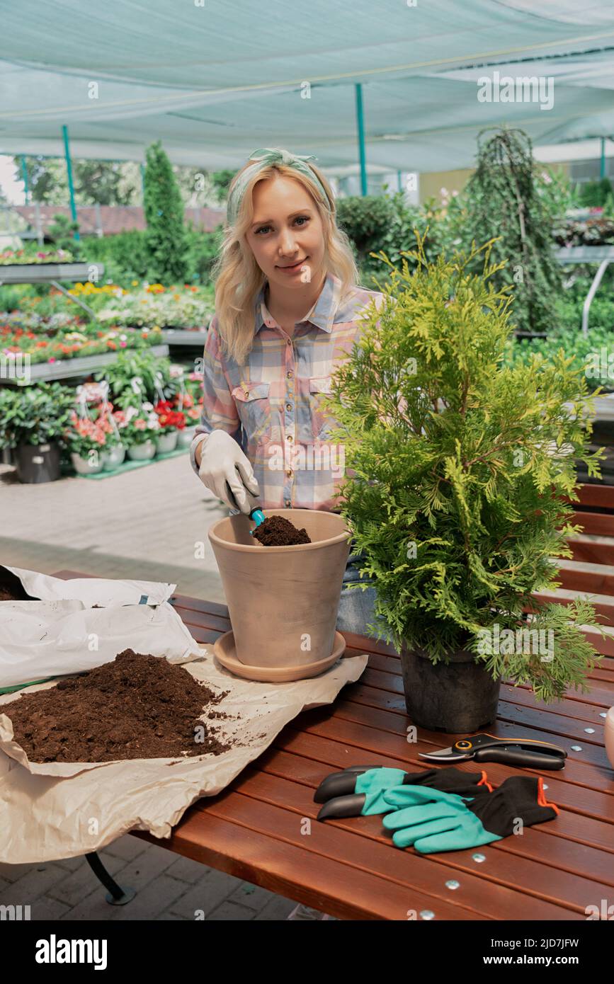Woman planting a bush in flower pot using dirt in garden center Stock ...