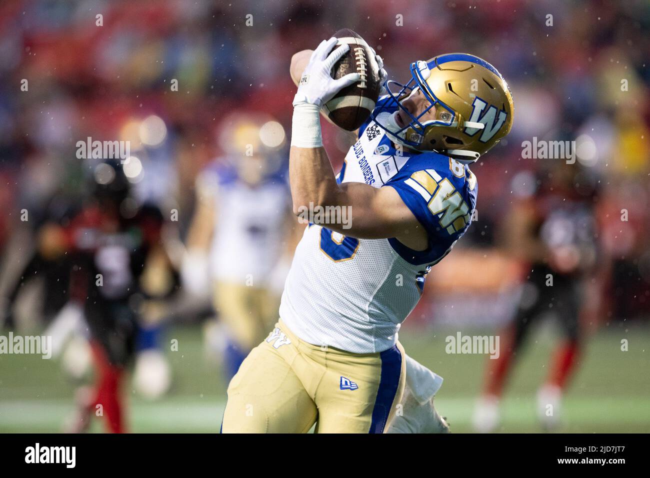 Ottawa, Canada. 17th June, 2022. Winnipeg Blue Bombers wide receiver ...