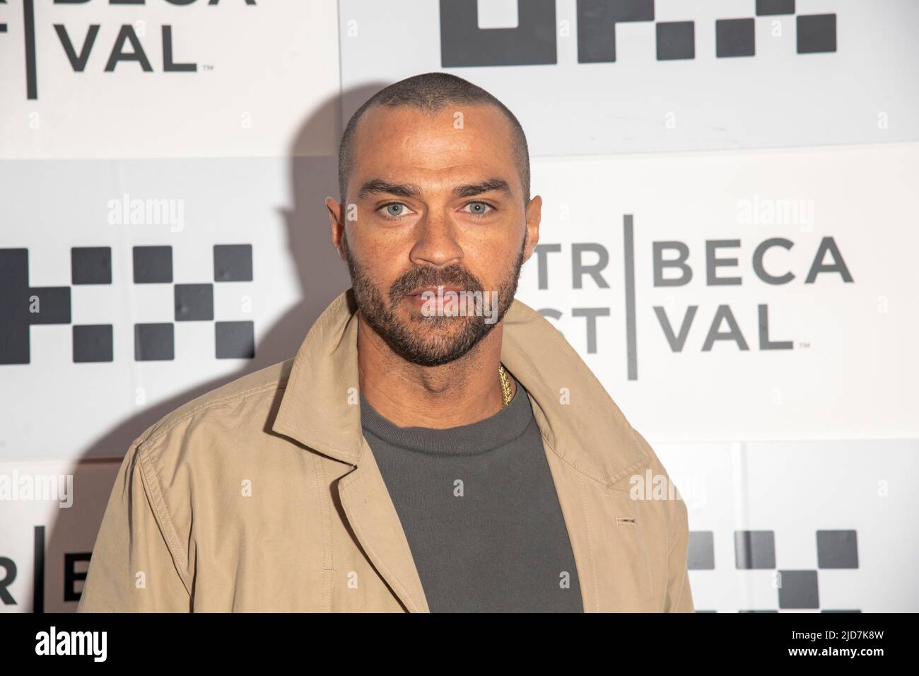 Jesse Williams Catching Fire
