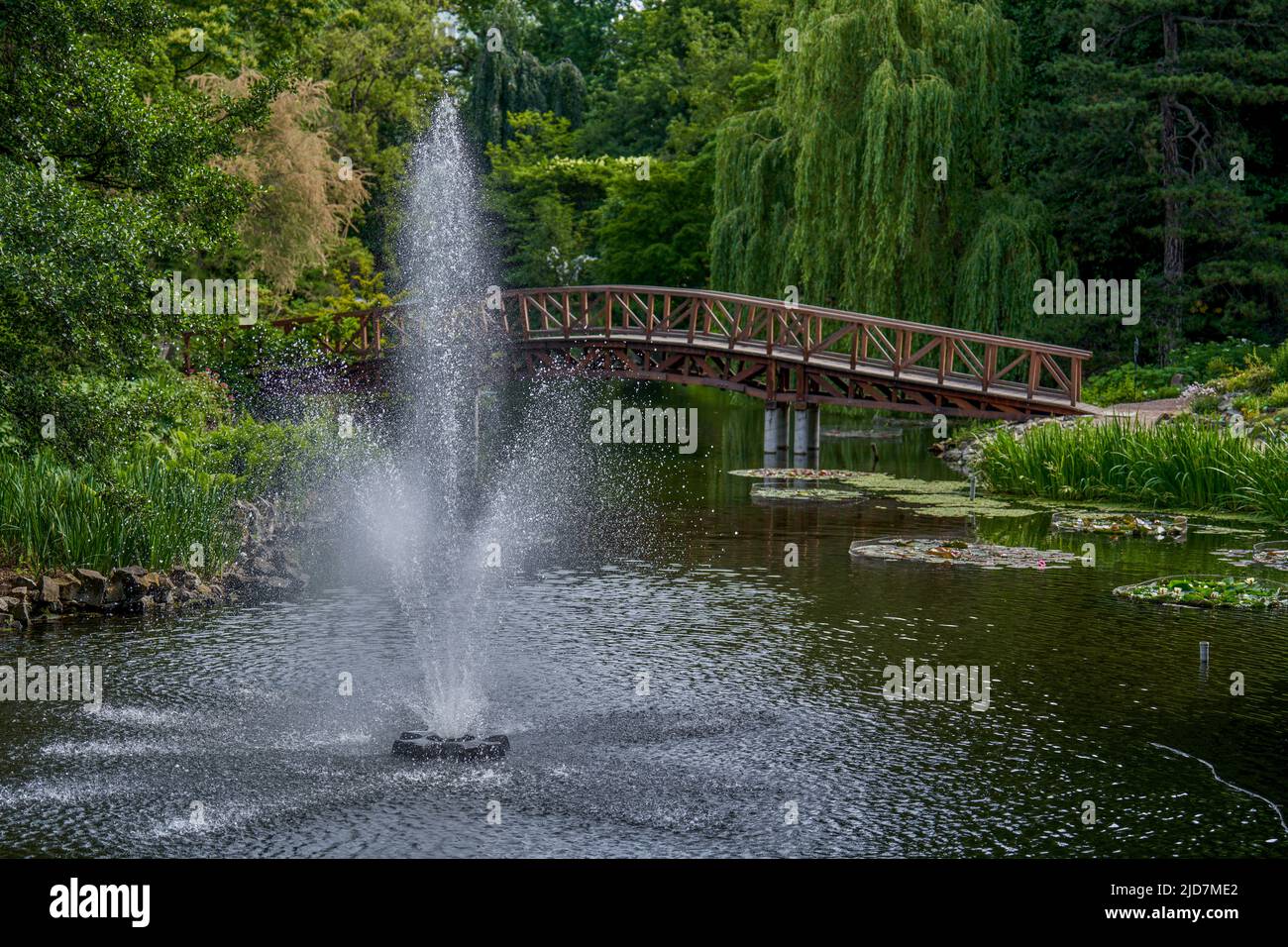 Botanical gardens in the spring Wroclaw Lower Silesia Poland Stock ...