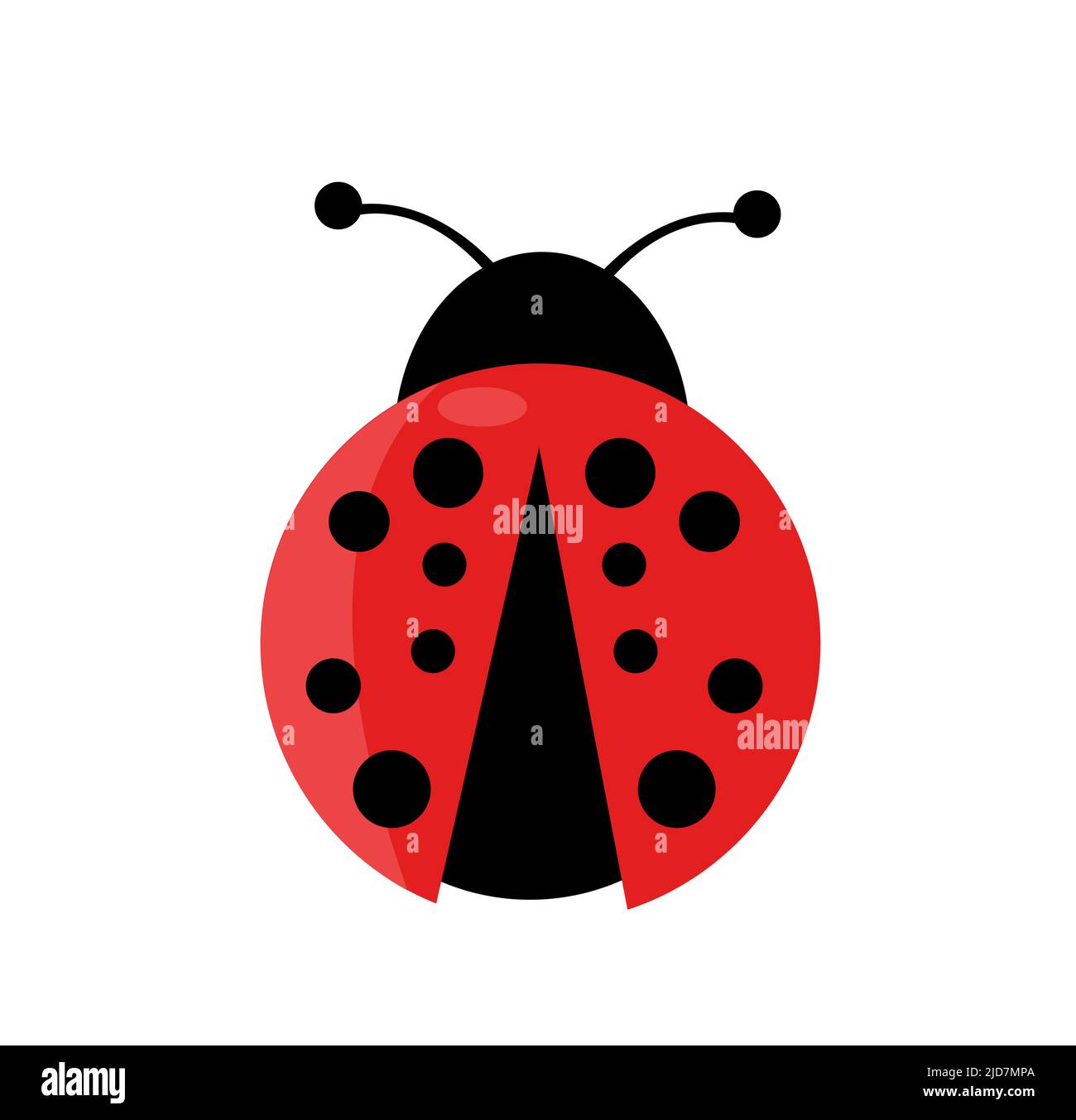 Ladybug vector illustration Stock Vector Image & Art - Alamy