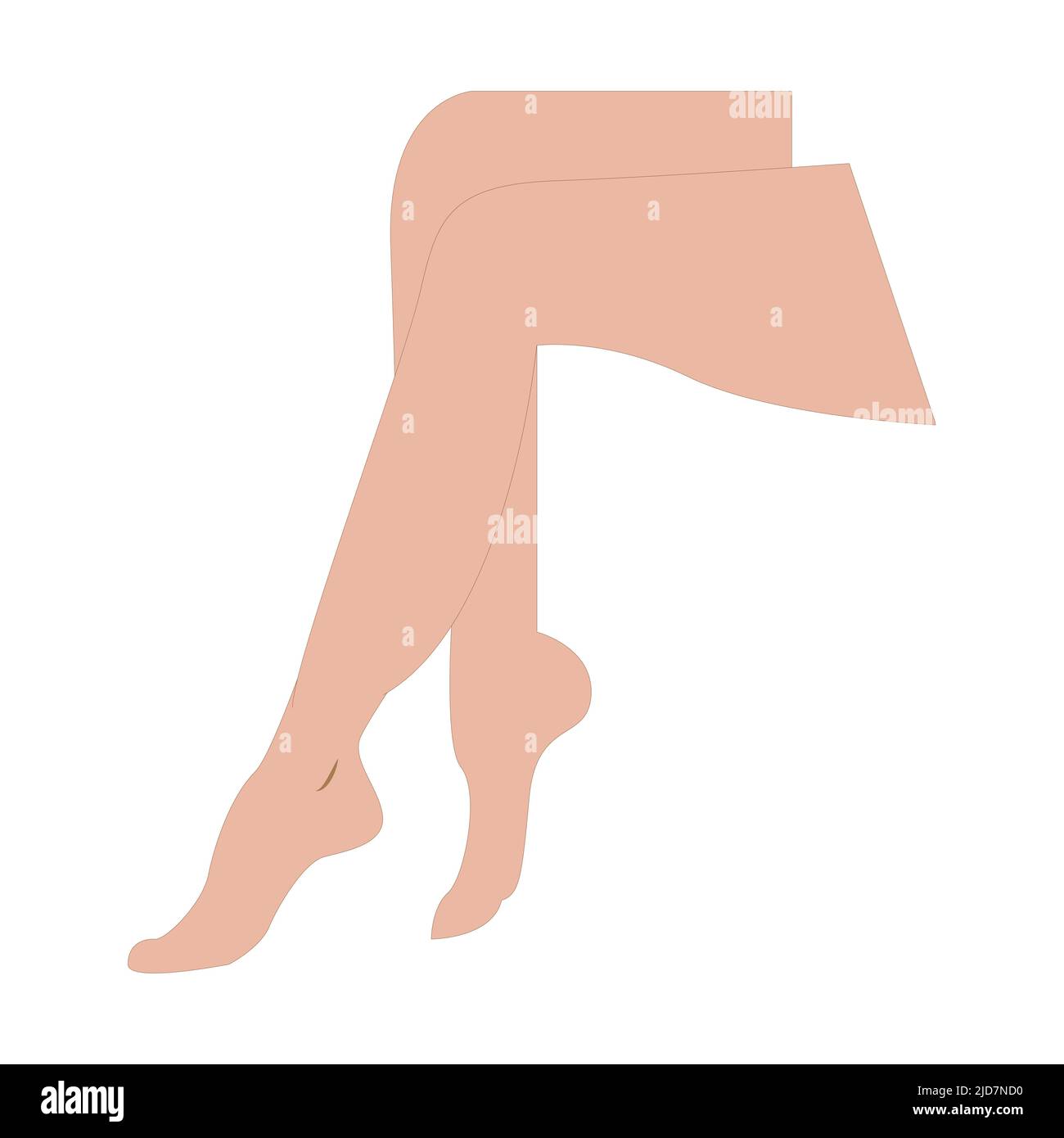 illustration of female leg. on white background Stock Vector Image ...