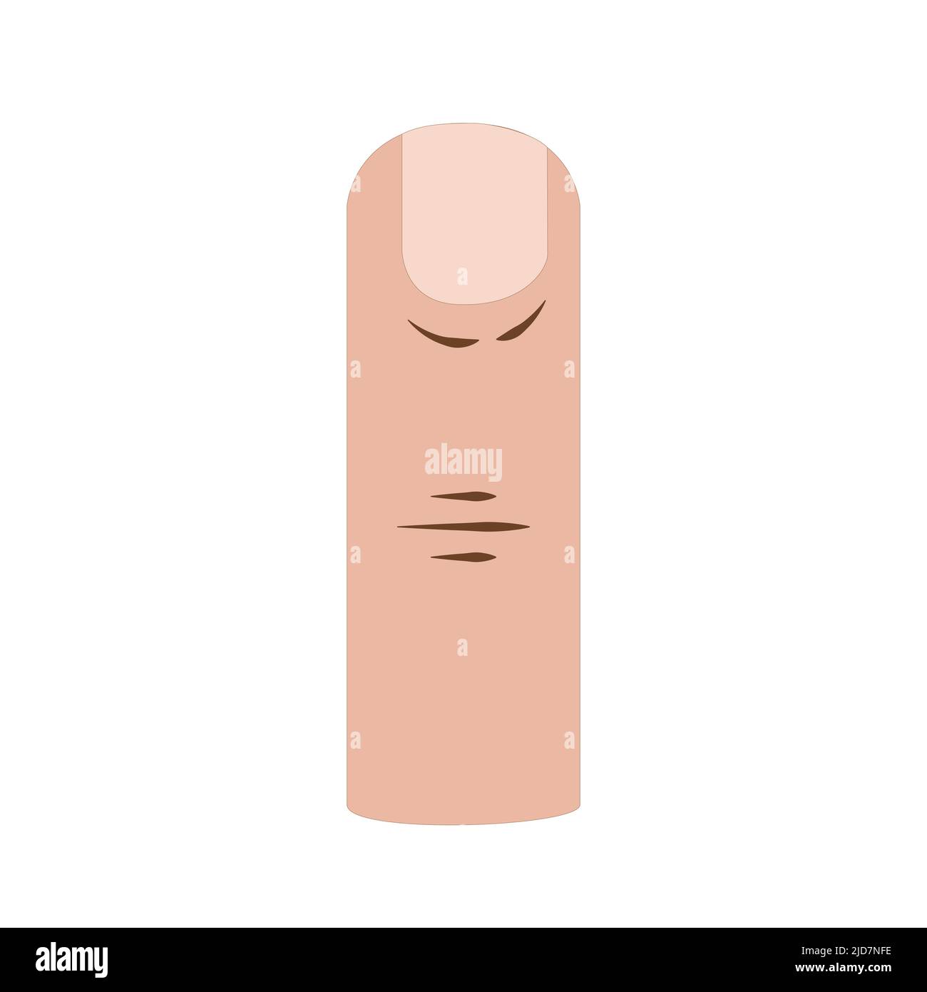 illustration of human finger. on white background Stock Vector Image ...