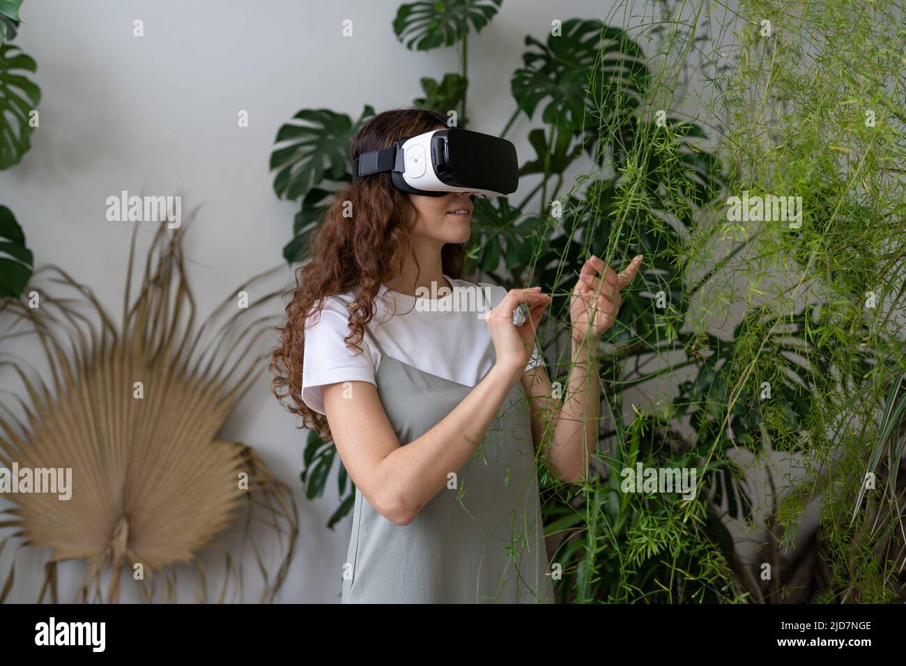Home gardening, metaverse. Woman using VR glasses in greenhouse ...