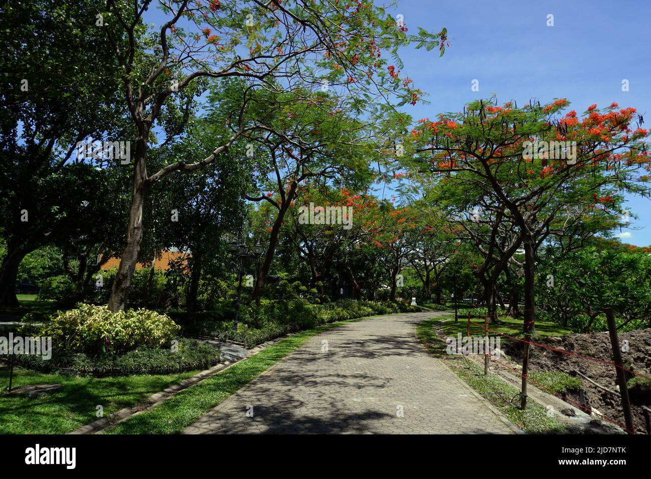The atmosphere in the park has beautiful flowers and plants Stock Photo ...
