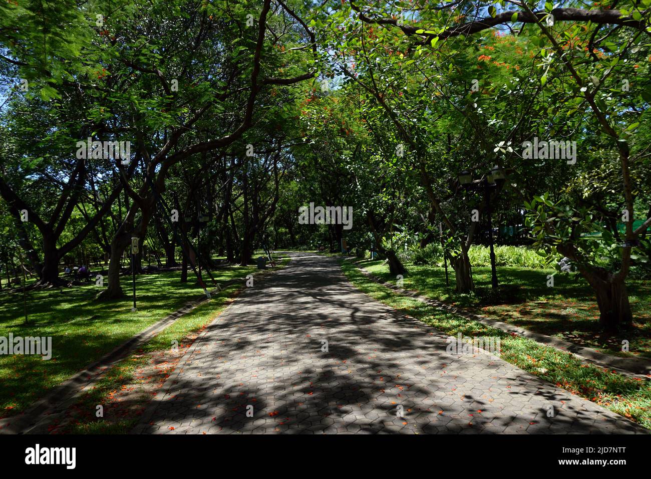 The atmosphere in the park has beautiful flowers and plants Stock Photo ...