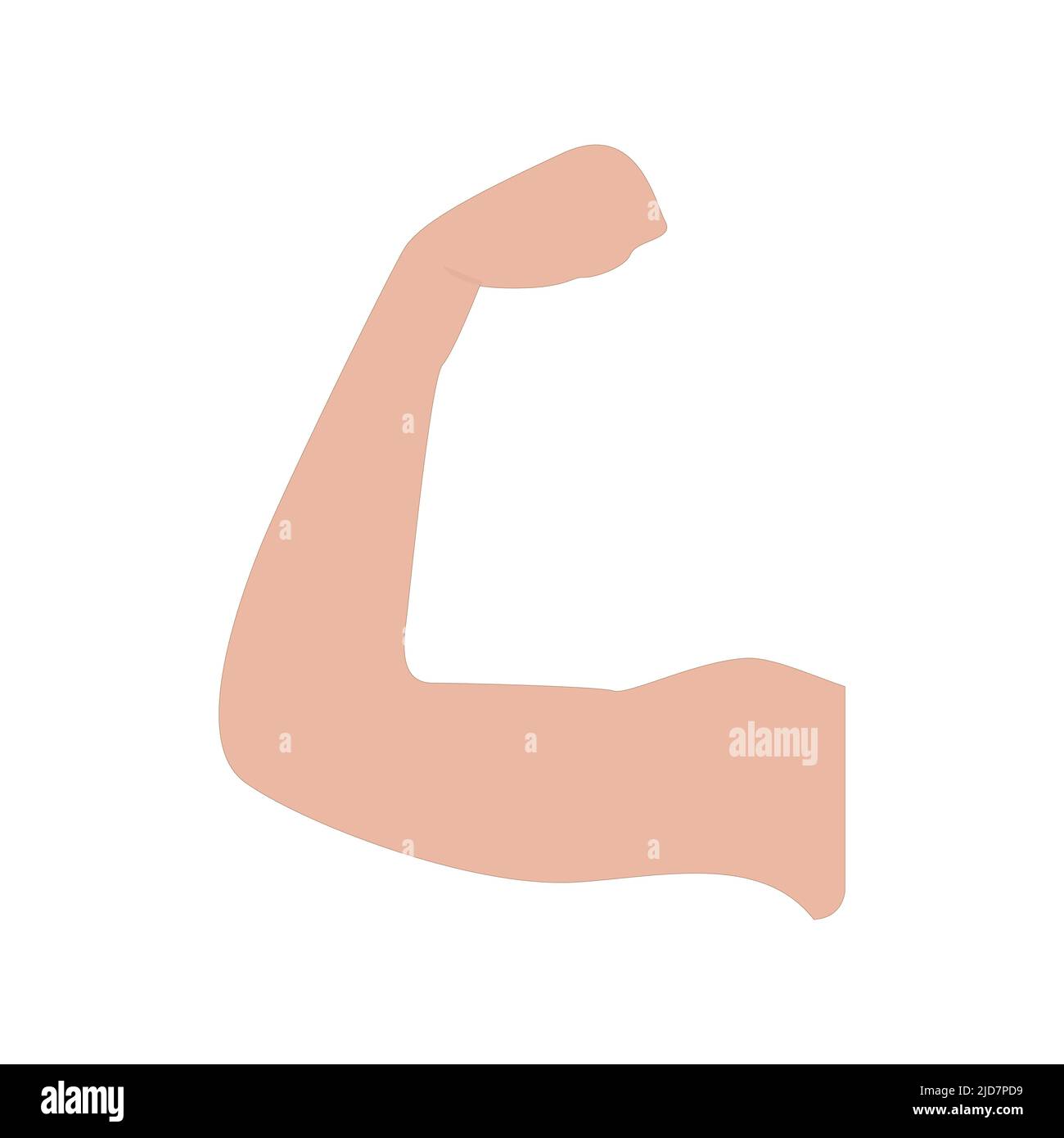 human hand-arm. vector illustration on white background Stock Vector ...