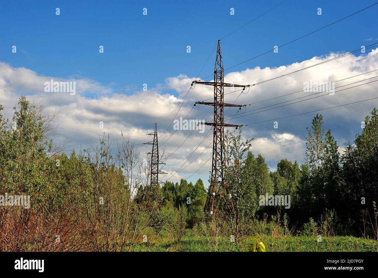 a high-voltage power line runs through the forest against the blue sky Stock Photo - Alamy