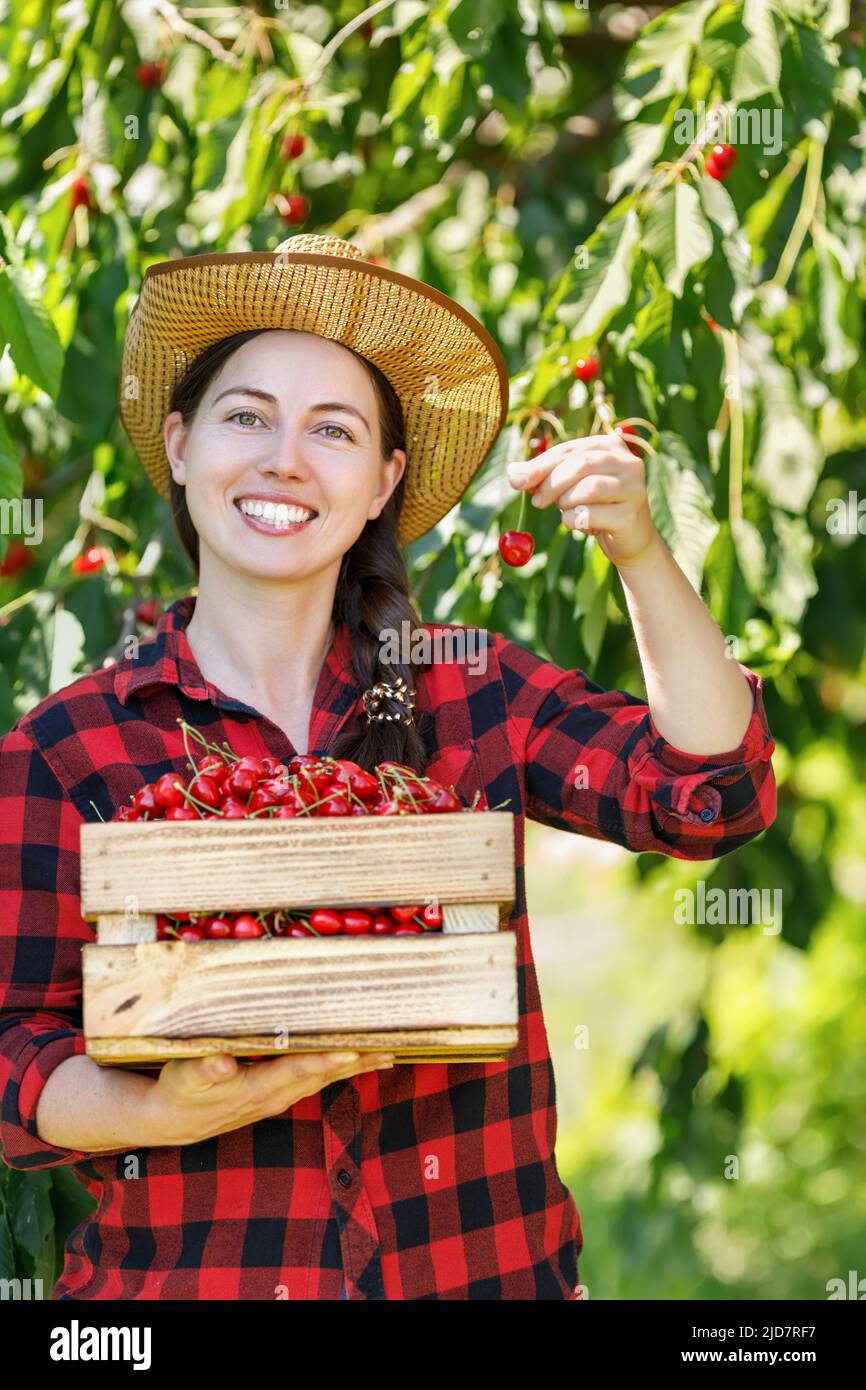 Young woman picking fresh ripe hi-res stock photography and images - Alamy
