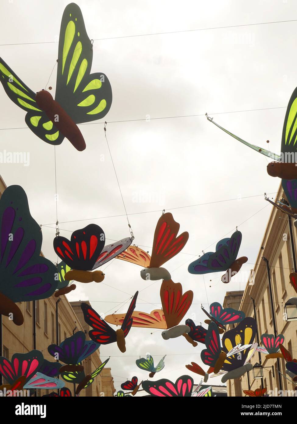 Butterfly installation at Southgate, Bath, supporting the work of ...