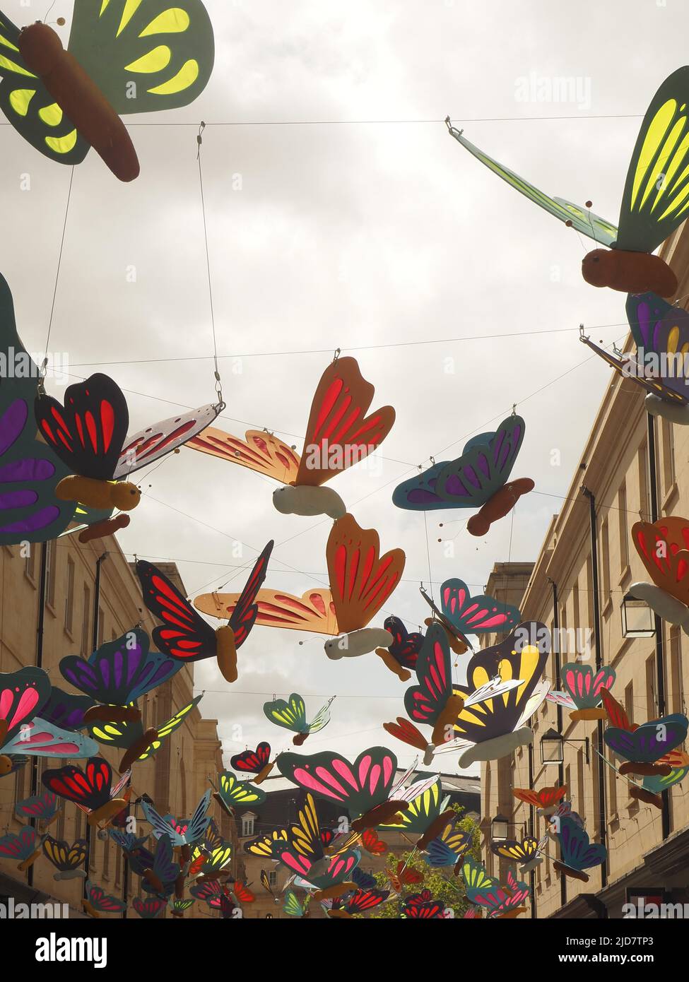 Butterfly installation at Southgate, Bath, supporting the work of ...