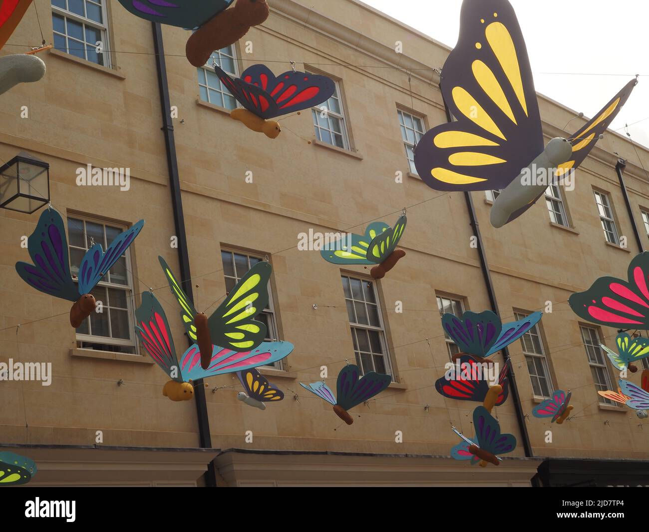 Butterfly installation at Southgate, Bath, supporting the work of ...