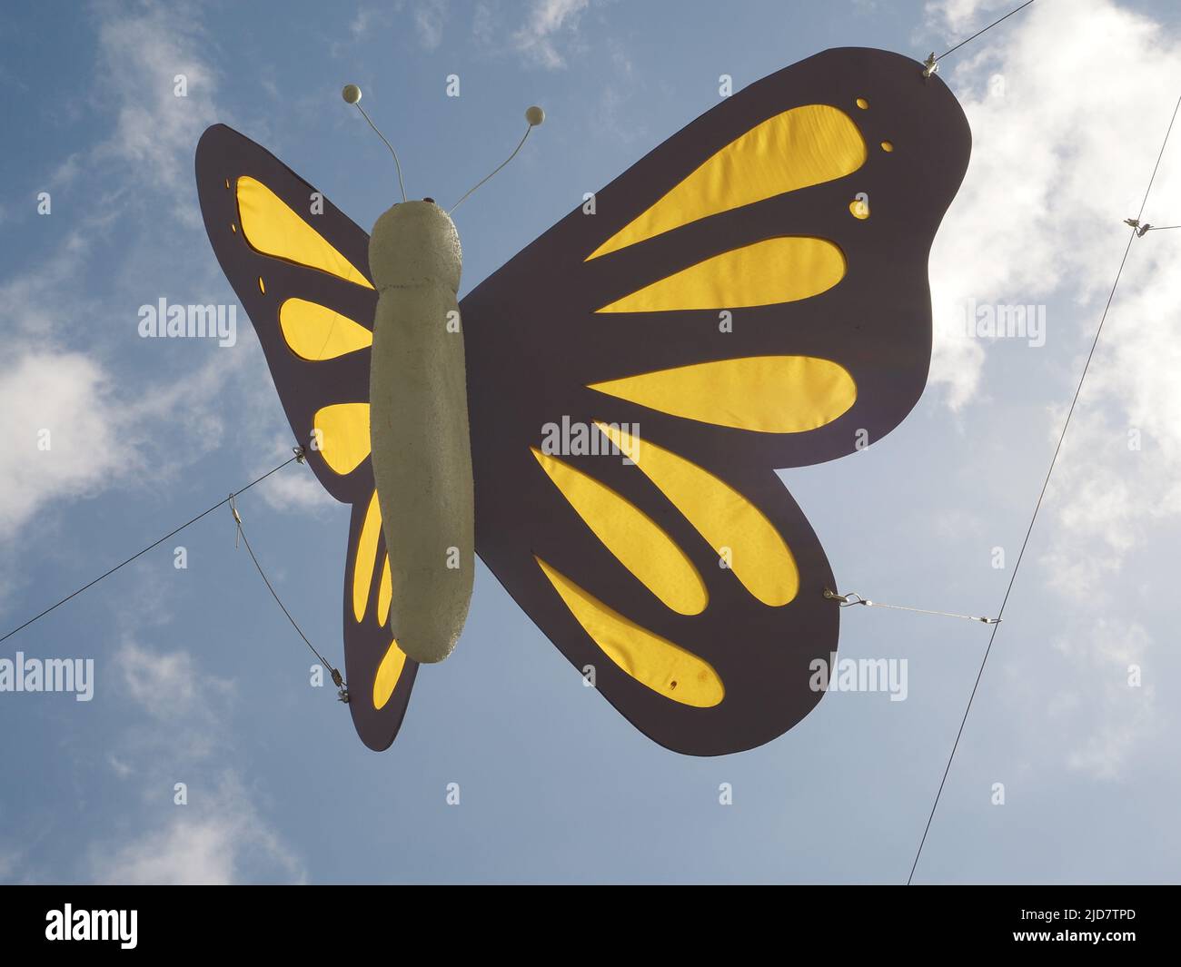 Butterfly installation at Southgate, Bath, supporting the work of ...