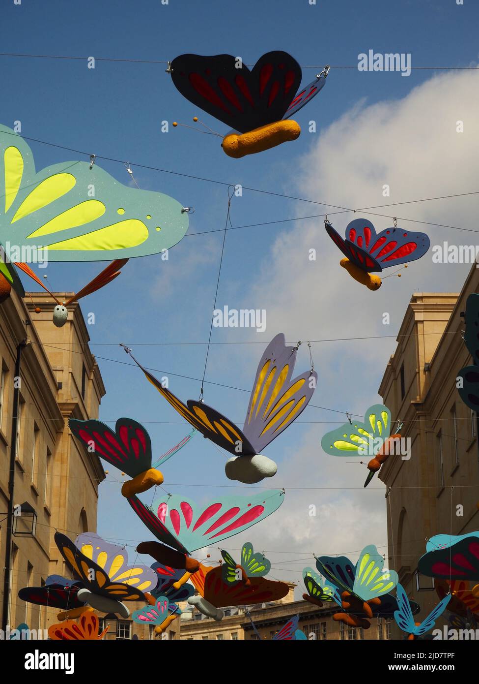 Butterfly installation at Southgate, Bath, supporting the work of ...