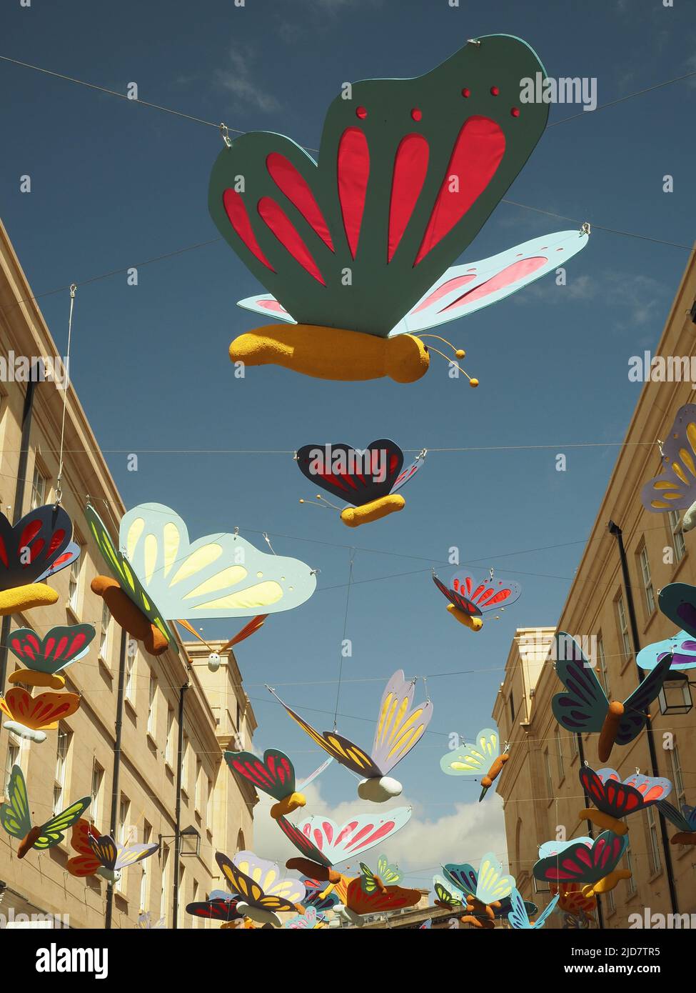 Butterfly installation at Southgate, Bath, supporting the work of ...