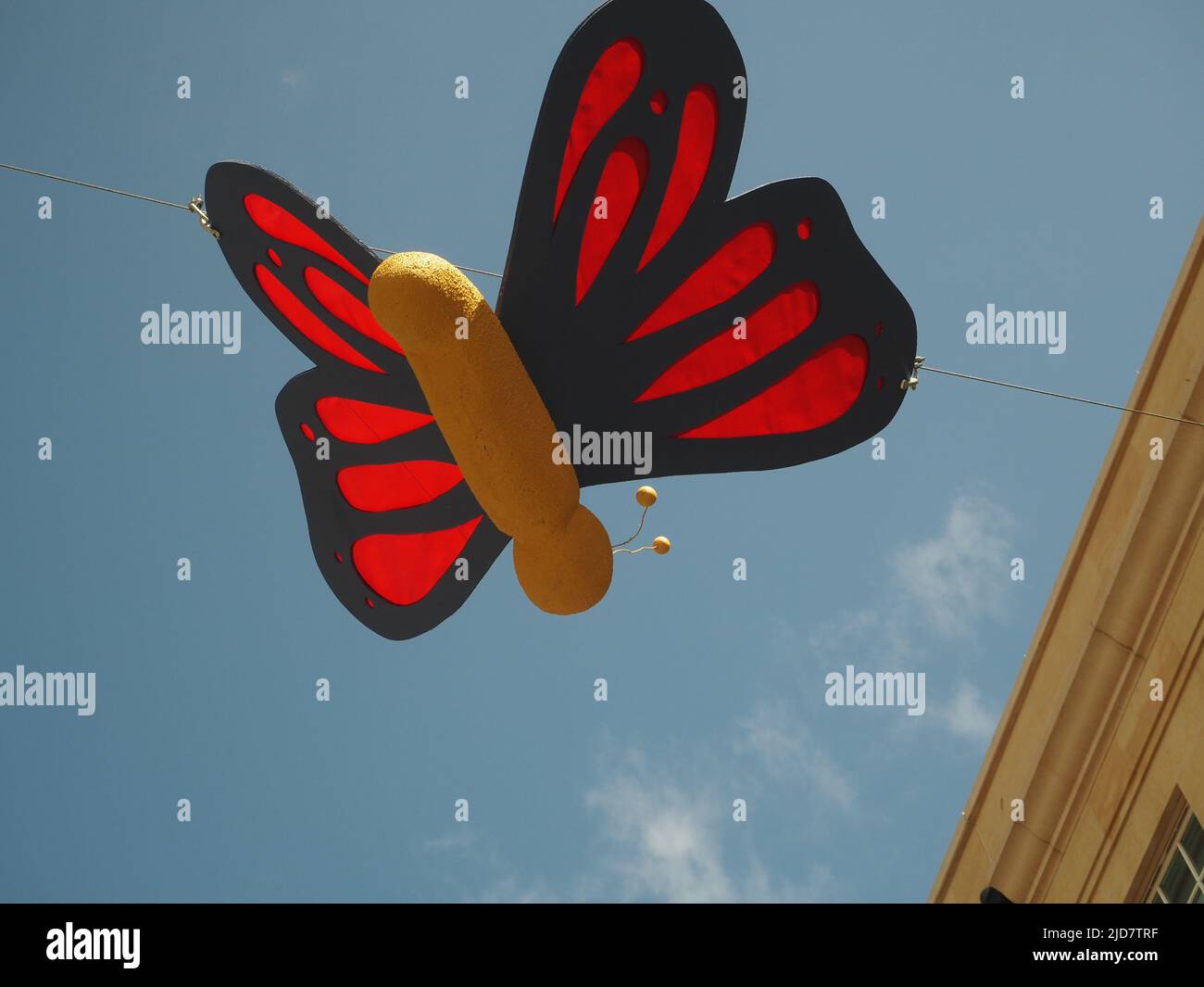 Butterfly installation at Southgate, Bath, supporting the work of ...