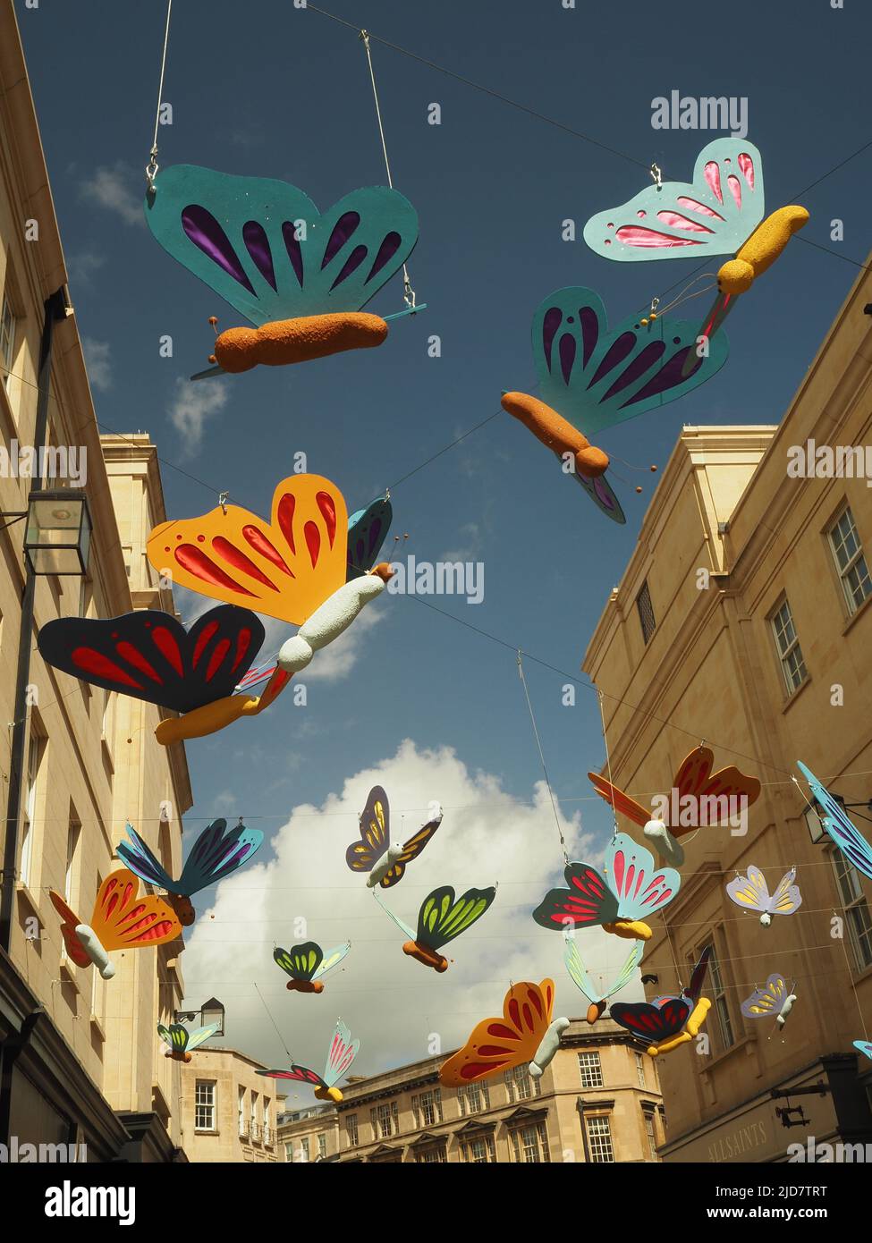 Butterfly installation at Southgate, Bath, supporting the work of ...