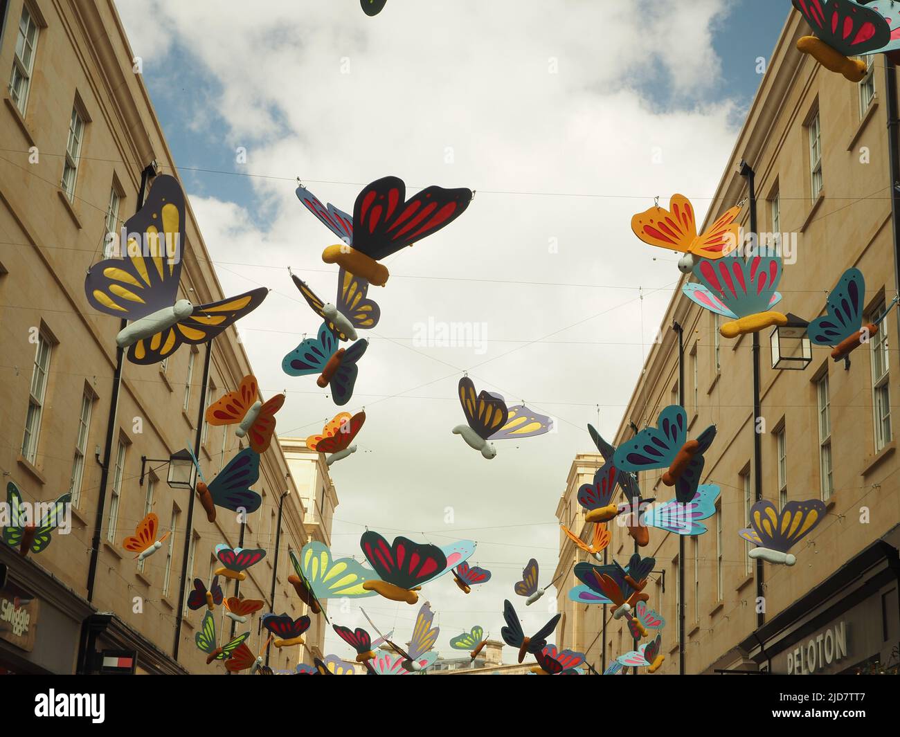Butterfly installation at Southgate, Bath, supporting the work of ...