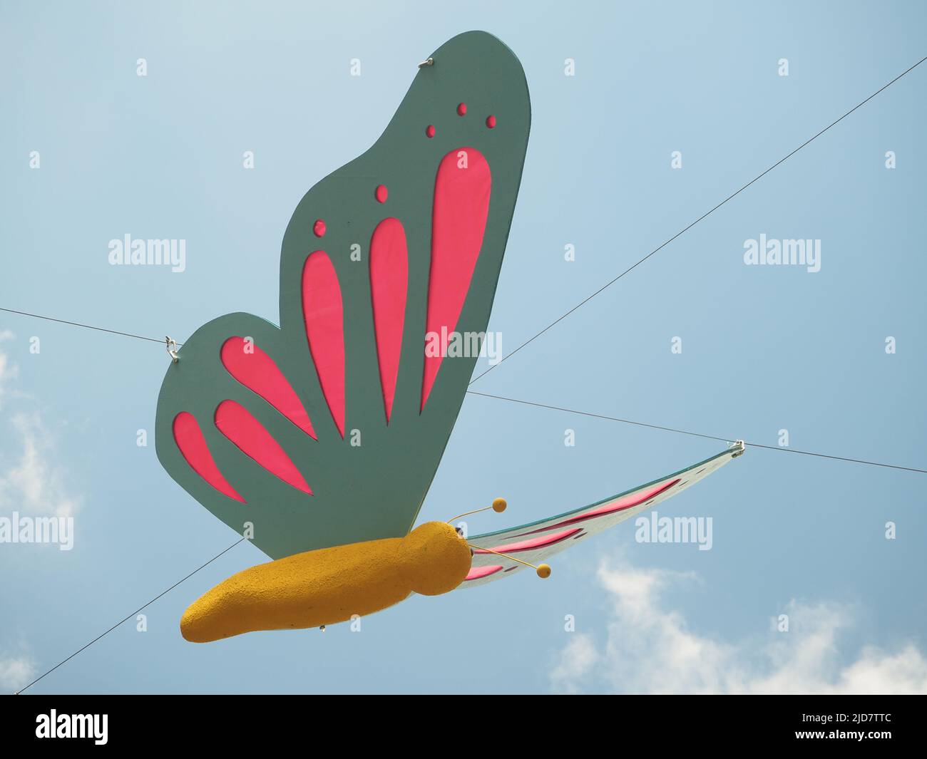 Butterfly installation at Southgate, Bath, supporting the work of ...