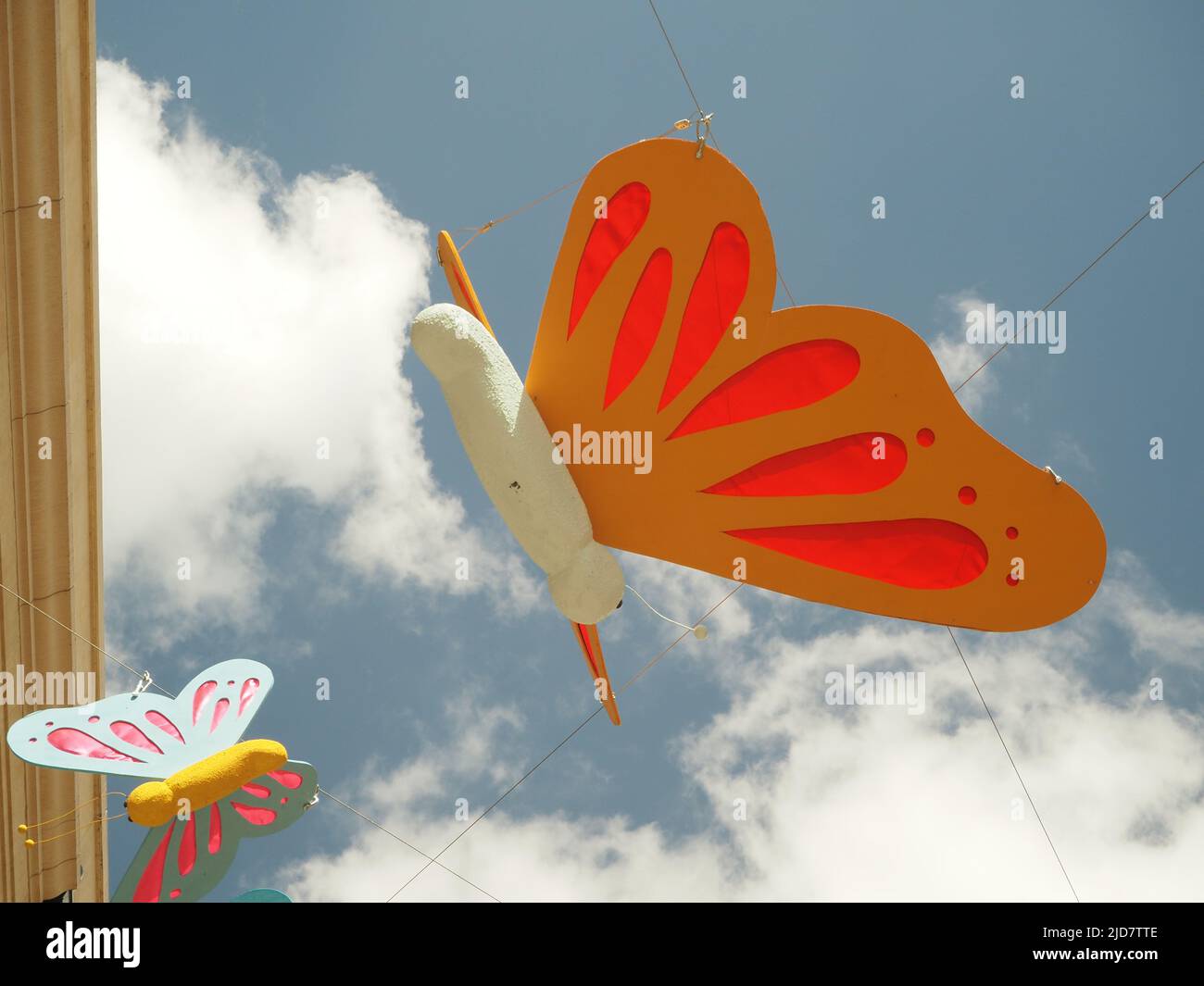 Butterfly installation at Southgate, Bath, supporting the work of ...