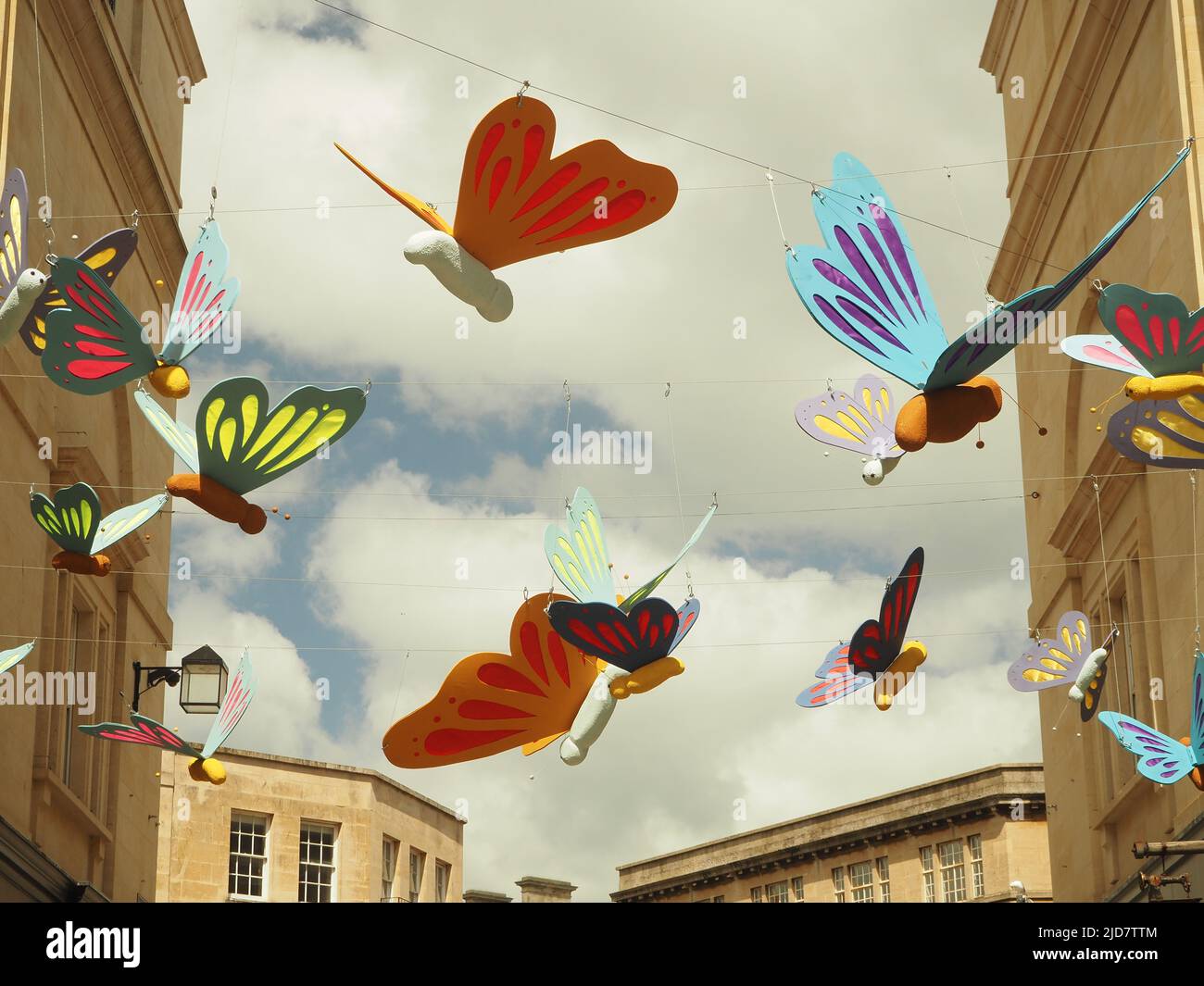 Butterfly installation at Southgate, Bath, supporting the work of ...