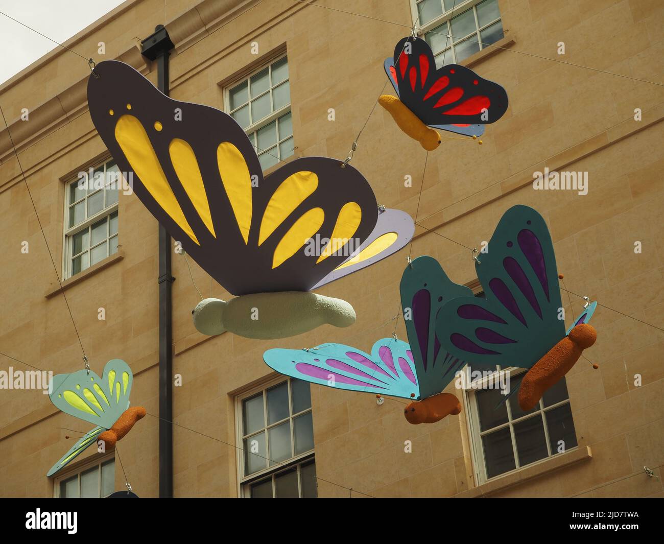 Butterfly installation at Southgate, Bath, supporting the work of ...