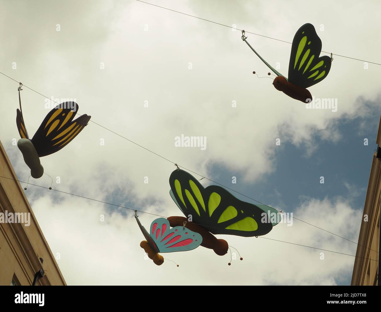 Butterfly installation at Southgate, Bath, supporting the work of ...