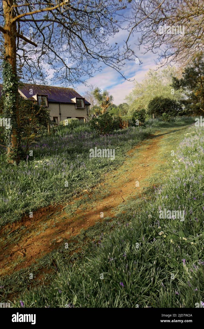 The Lizard Cornwall Stock Photo - Alamy