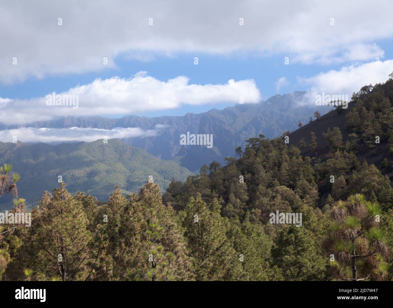 La Palma, view towards the highest area of the island, Caldera de ...