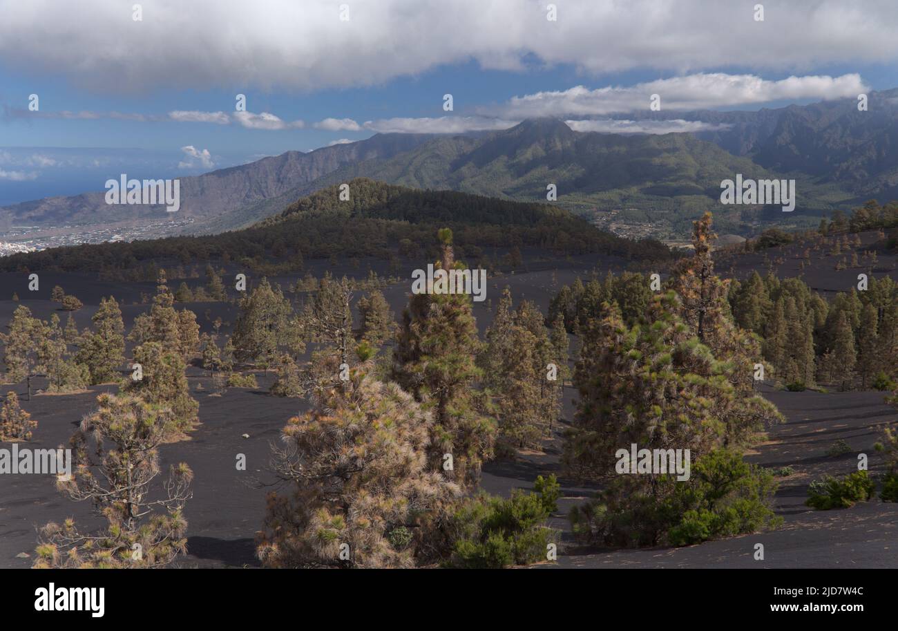 La Palma, landscape of the central part of the island, in El Paso ...