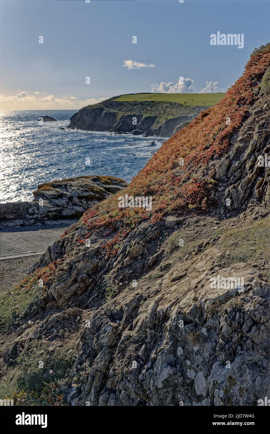 The Lizard Cornwall Stock Photo - Alamy