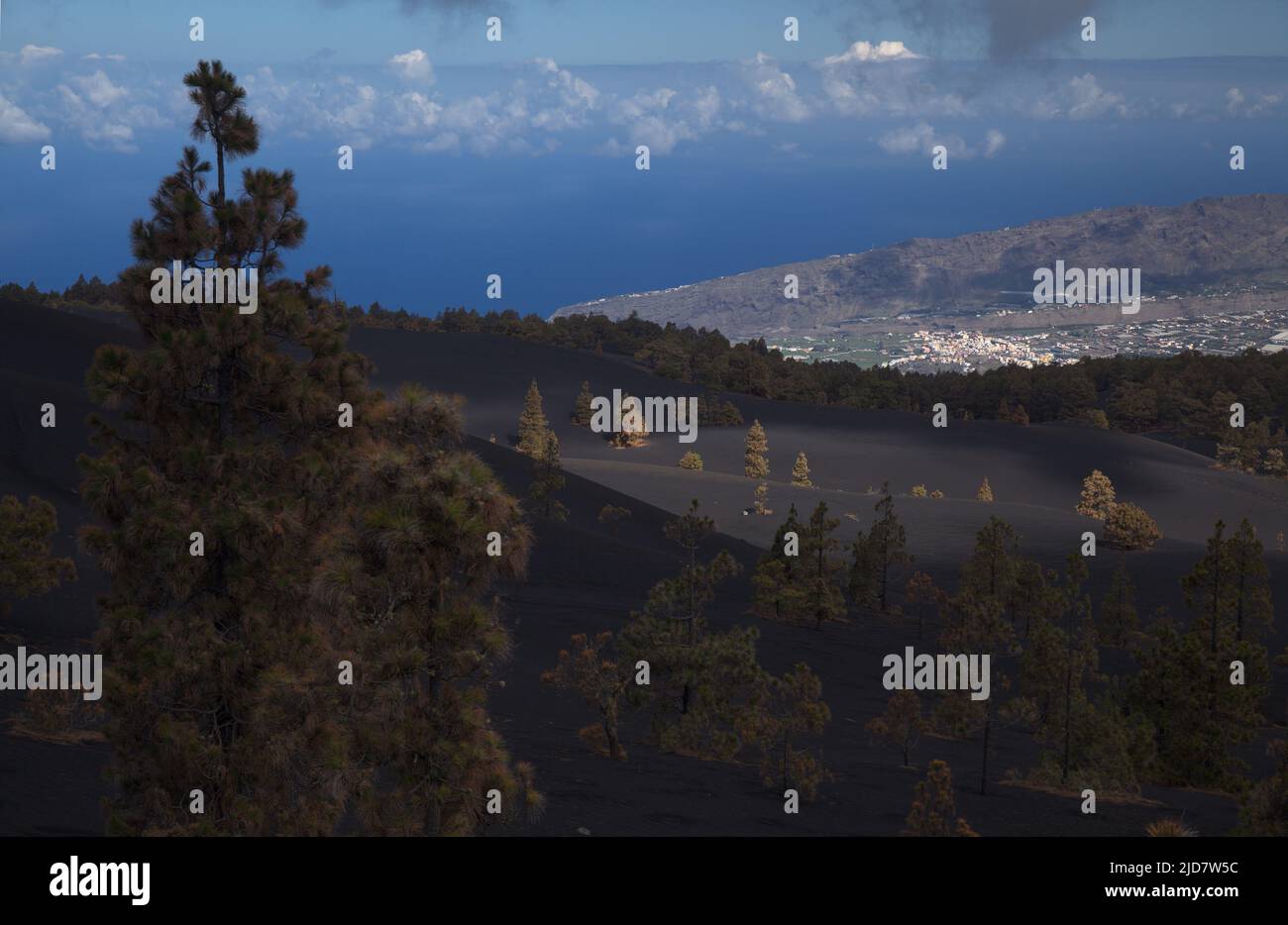 La Palma, landscape of the central part of the island, in El Paso ...