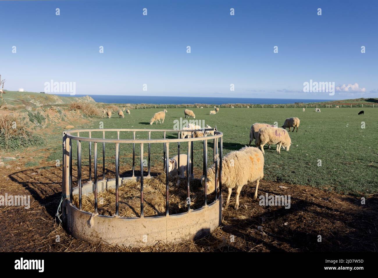 The Lizard Cornwall Stock Photo - Alamy