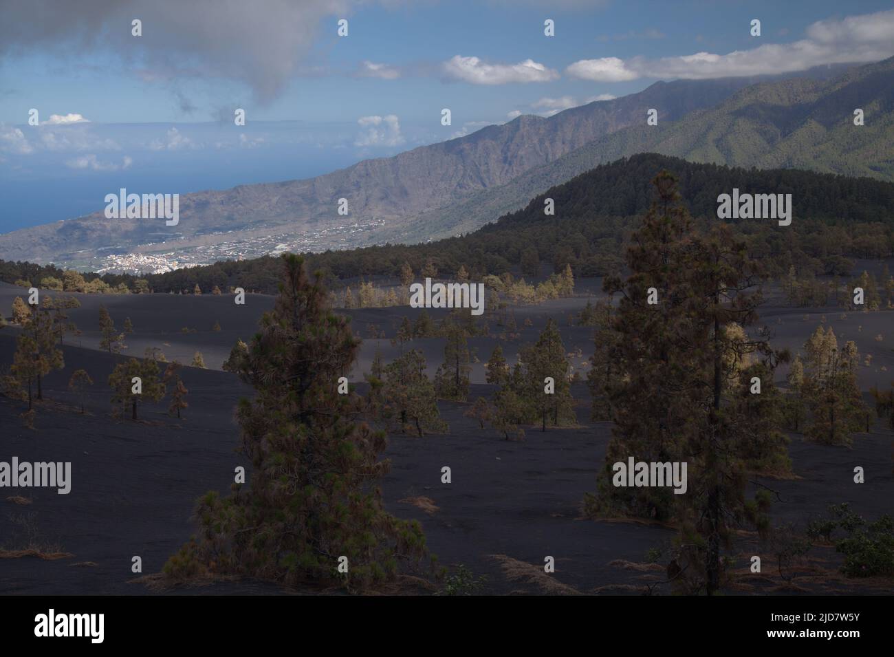 La Palma, landscape of the central part of the island, in El Paso ...