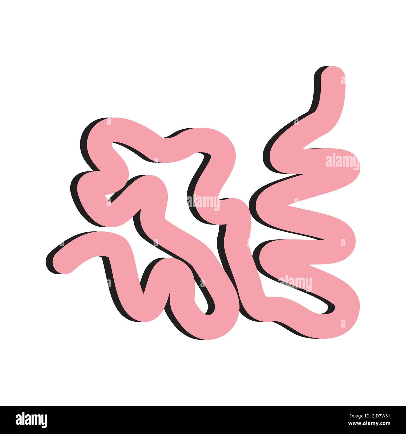Diagram of the human small intestine hi-res stock photography and ...