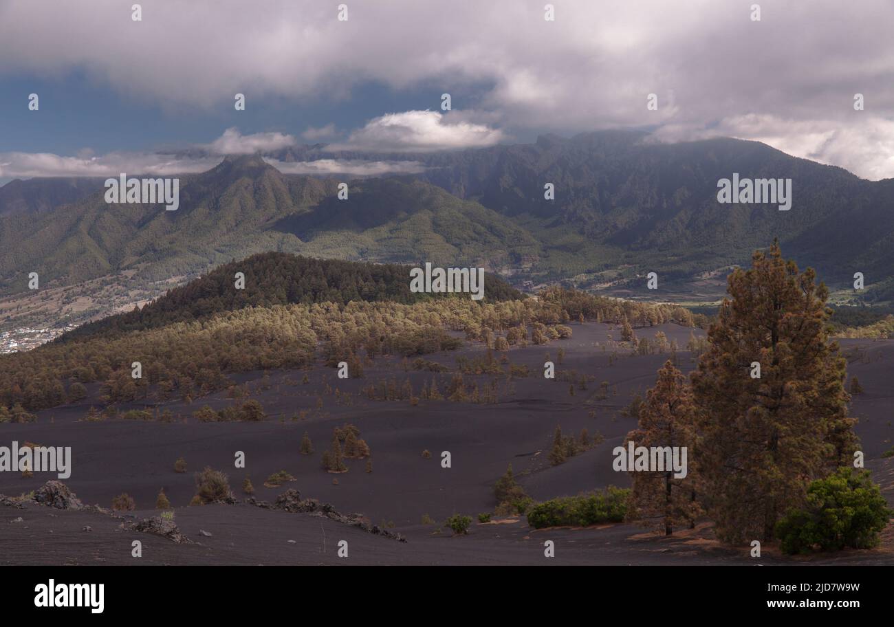 La Palma, landscape of the central part of the island, in El Paso ...