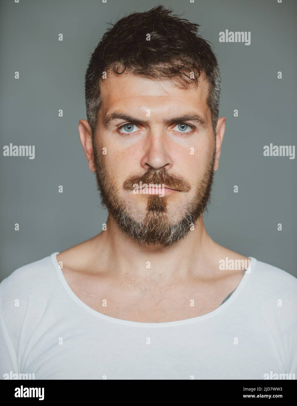 Portrait of serious man. Man portrait. Bearded guy. Human expression ...