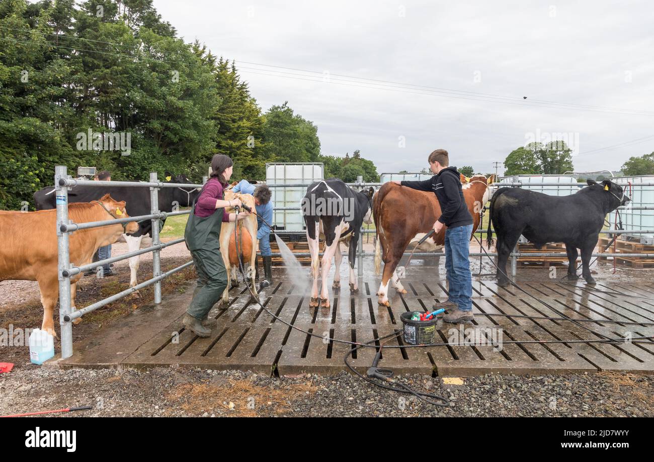 Cork, Ireland. 18th June, 2022.Ricky Barrett of Ballinhassig washing a ...