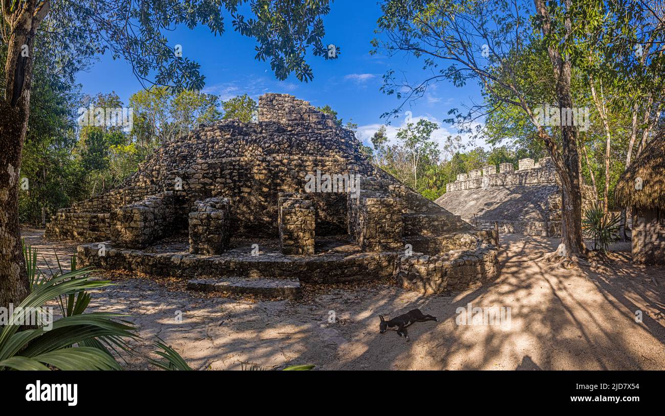 Picture of a historic pyramid in the Mexican Inca city of Coba on the ...