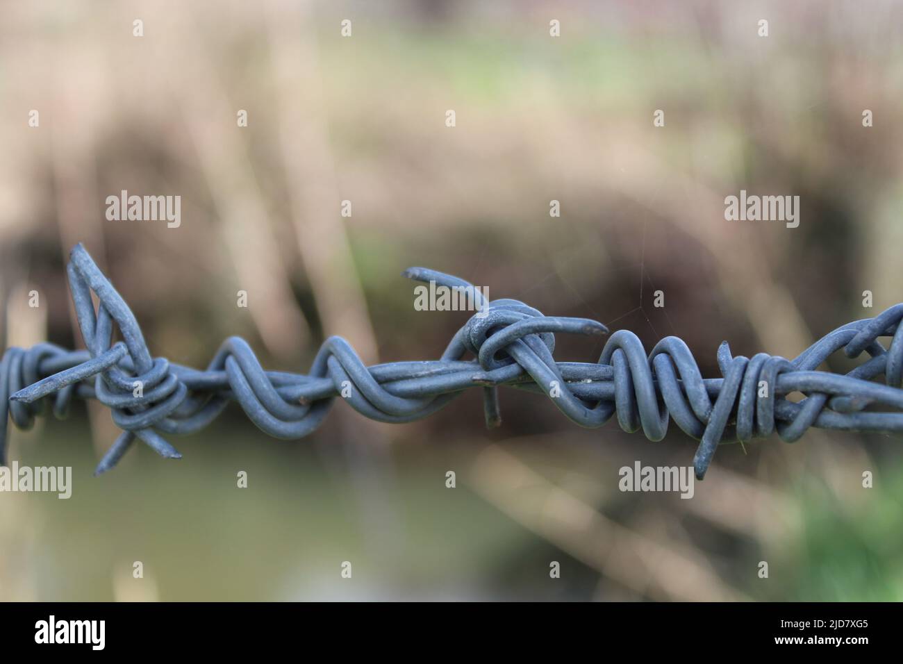 Bob wire fence hi-res stock photography and images - Alamy